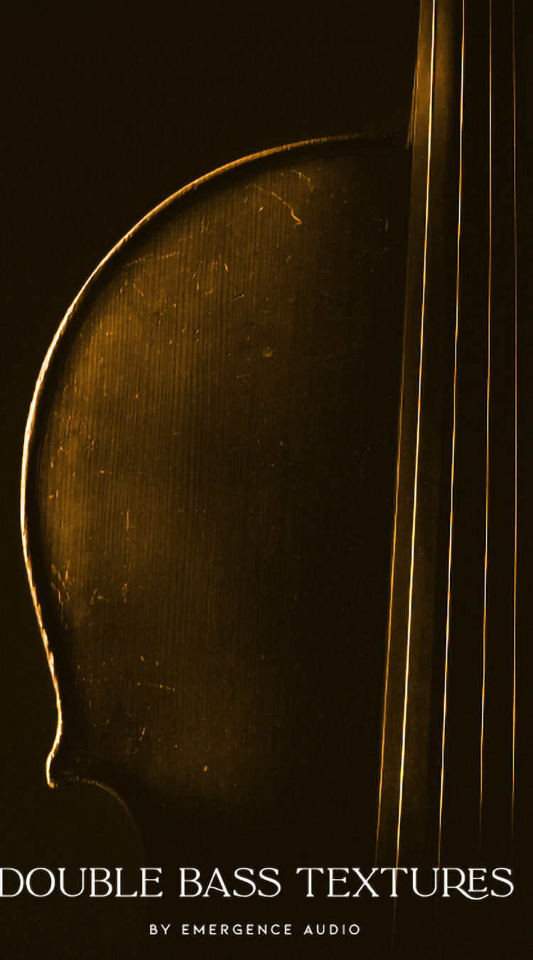Double Bass Textures - Made For Kontakt Player - NKS Compatible